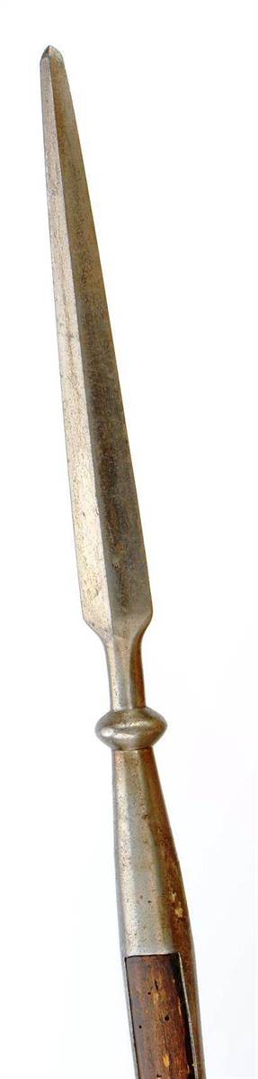 Les Lanciers de la garde impériale